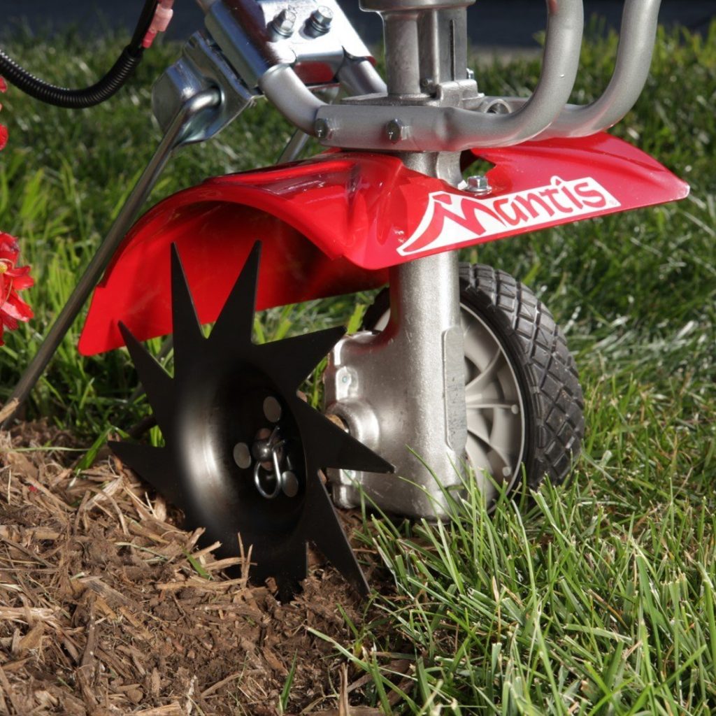 How to Grow Winter Squashes