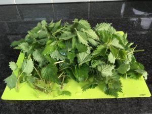 The Best Nettle Soup Recipe... seriously, you'll love it!