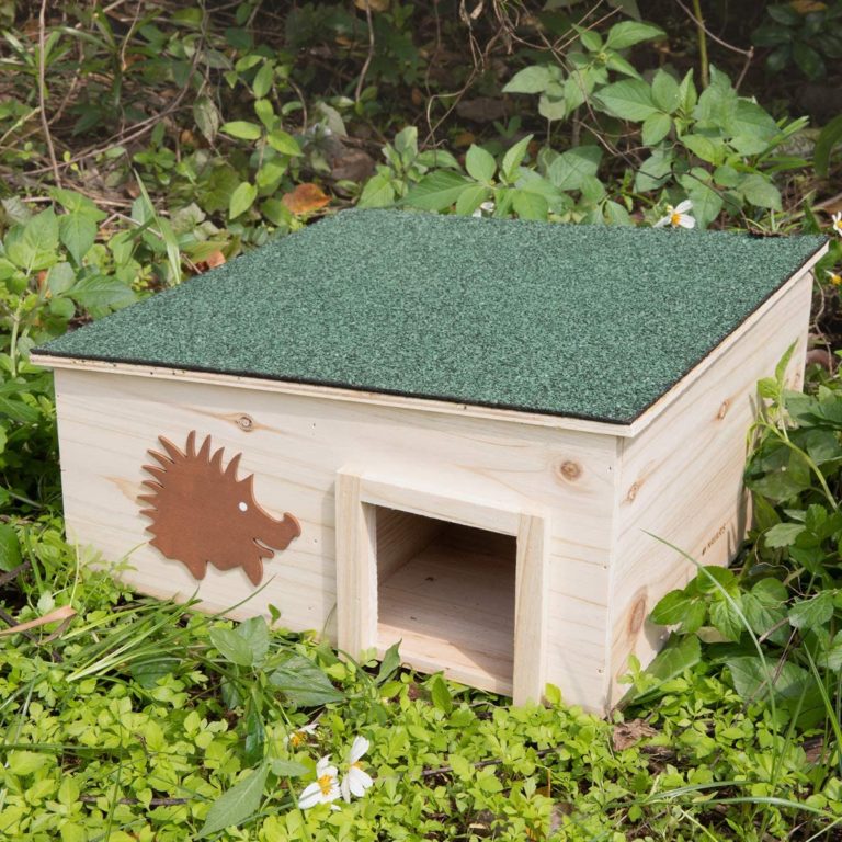 Top 10 Most Stylish Hedgehog Houses for the Garden
