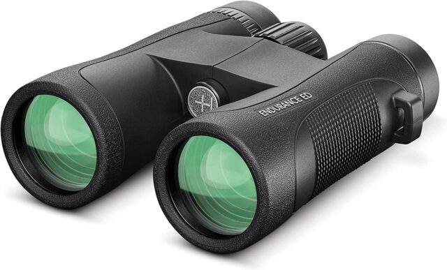 The Best Binoculars for Bird Watching and Wildlife